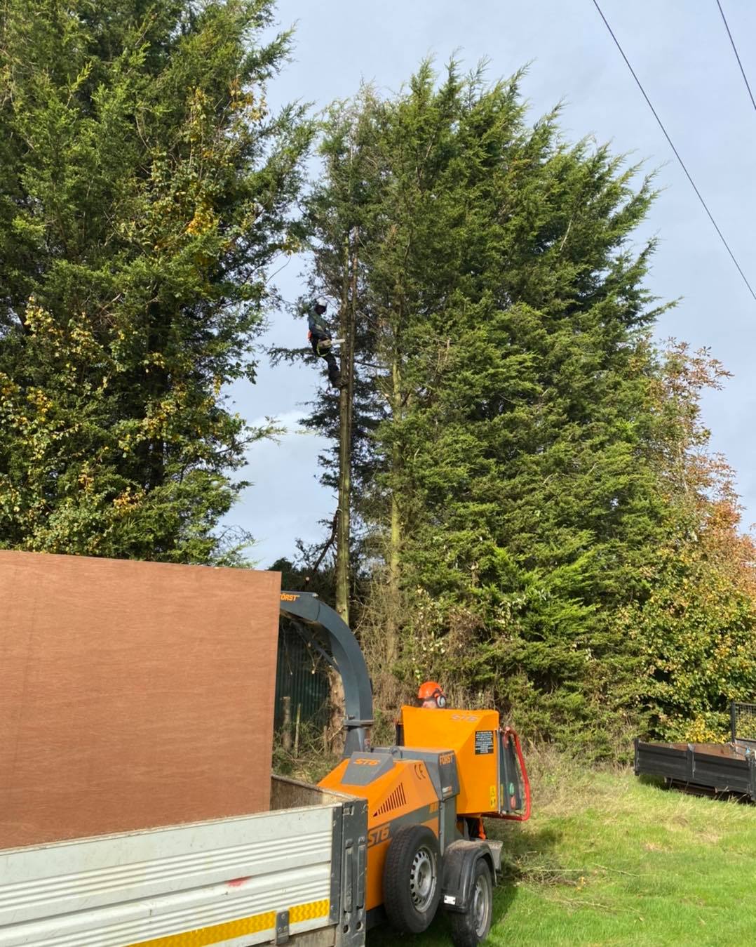 Our Work | Tree Surgeons and Garden Projects based on Milton Keynes